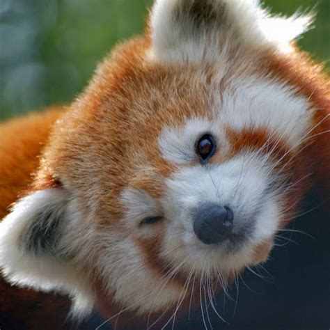 Danny Mcalea Youtube