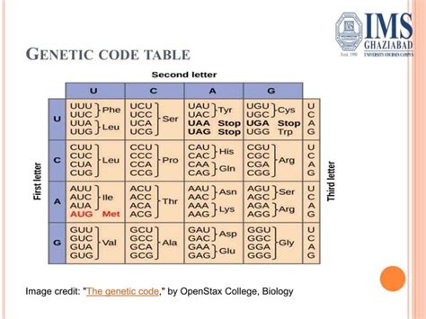 Genetic Code Microbiology Molecular Biology Ppt