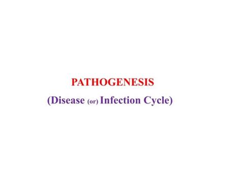 Disease Triangle And Disease Cycle Pdf Infectious Diseases