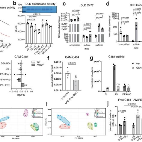 Dld And The E3 Binding Protein Of Pdh Are Likely Modified By Hno A
