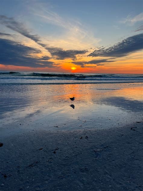 Quality Improvement Fewer Xrays For Constipation Gutsandgrowth