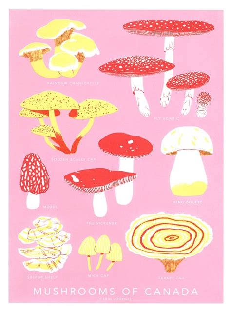 Cabinjournalca Screen Printed In Toronto Mushrooms Of