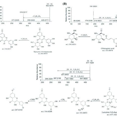 A Negative Mode Electrospray Ionization Mass Spectrometry Esi Ms