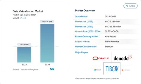 Data Virtualization Market Size Analysis Share And Growth Report 2030