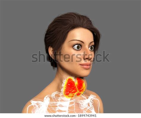 Woman Bulging Eyes Over 98 Royalty Free Licensable Stock Illustrations