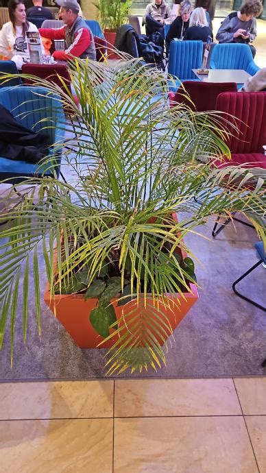 Prodaja Unutarnjih Pitara