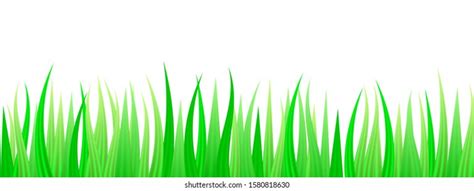 Green Grass Background Vector Illustration Poster Stock Vector Royalty Free 1580818630