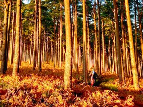 Inspiration Adele Mitchell Findra Clothing