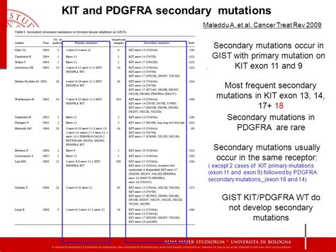 Targeting Molecular Pathways In Gist Ppt Download