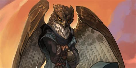 Dnd 5e Nature Cleric Build Guide