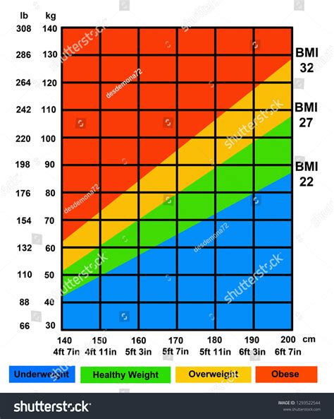 Graph Interpretation Body Mass Index Bmi Stock Illustration 1293522544