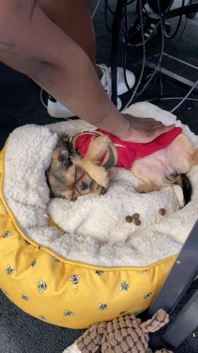 Eve Coxeter On Linkedin Mondaymotivation Meetlife Purpleblood