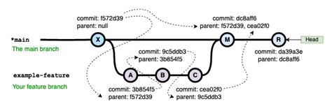 Learning From Mistakes Revertreset The Branch In Right Way