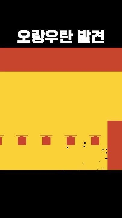 오랑우탄 발견 Shorts Youtube