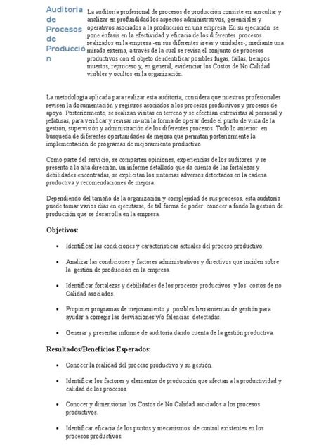 Auditoría De Procesos Tutorial Completa Para Optimizar Tu Producción