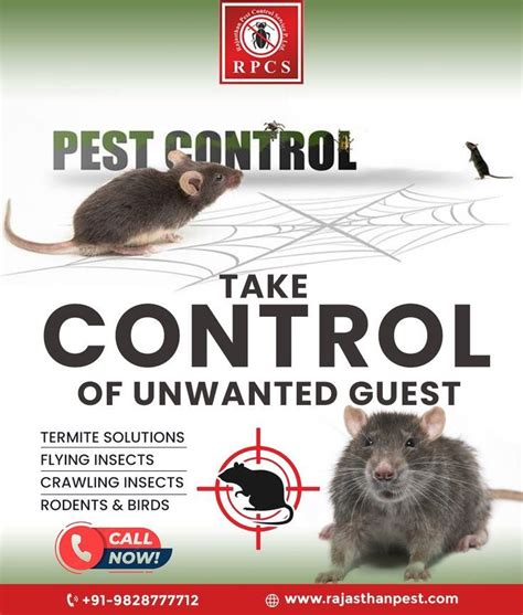 Why Do You Need Pest Control Artofit