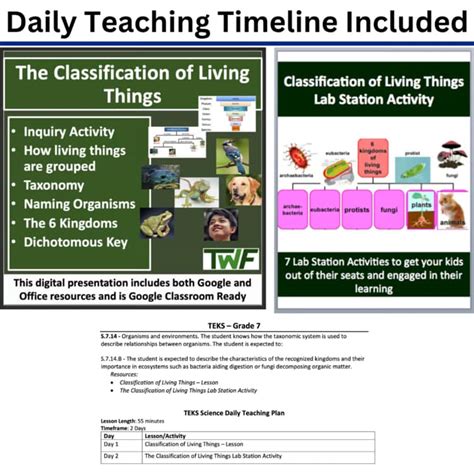 S 7 14 B Classification Of Living Things Teks Science 7th Grade Kingdoms