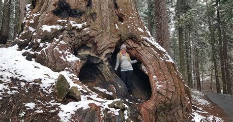 Teachable Moments Educator Spotlight Angela Roach