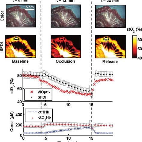 Laser Diode Based Nir Light Source A Schematics Of The Nir Light Download Scientific Diagram