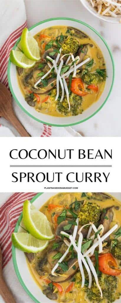 Coconut Bean Sprout Curry Plant Based On A Budget