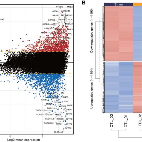 Ma Plot And Heatmap Present The Distribution Of Differentially Download Scientific Diagram
