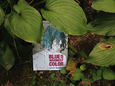 Blue Is The Warmest Color When The Movie Exceeds The Book