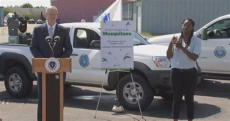 Massachusetts Bracing For High Number Of Eee Cases Again This Summer Cbs Boston