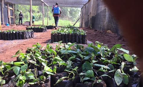 Borabu Technical Training Institute Btti