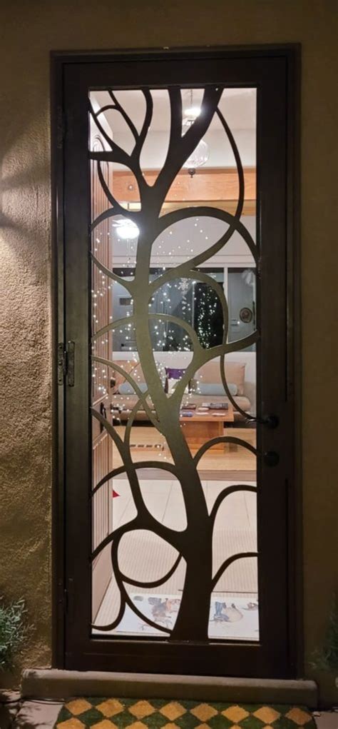 Security Door Design And Installation Denver Security Doors Asi