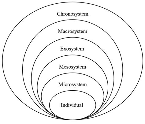 The Social Ecology Of Caregiving Applying The Socialecological Model