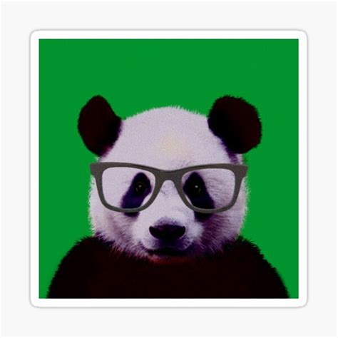 Geeky Nerd Panda In Green Background Print Home Decor Wall Art Poster T Birthday