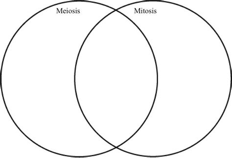 Meiosis Diagram Quizlet Meiosis Diagram Quizlet