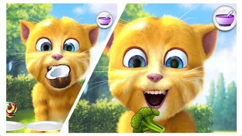 Talking Tom And Ginger Eating 🐈🐟 🍰🍌🍆🥑🍍🌽🥕🍬🏠🏡🍄🥝🍞🥔🍊🍉 Youtube