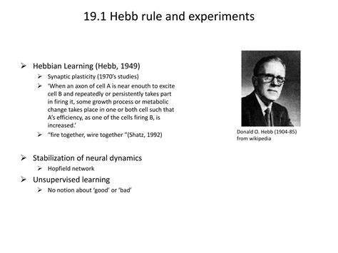 Ch 19 Synapticplasticity Pptx