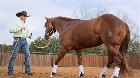 Ask Clinton Anderson Cowgirl Magazine