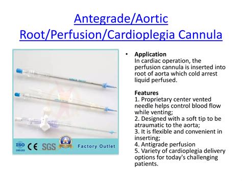 Arterial Cannula Pptx