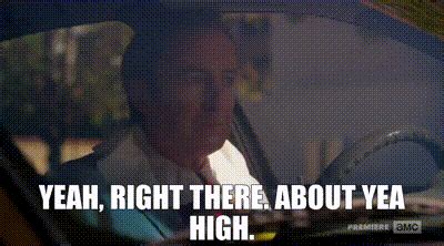 Yeah Right High Meme