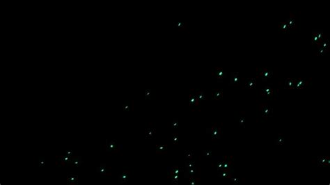 Ash Particles Stock Video Footage For Free Download