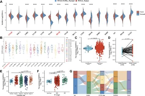 Mapk14 Is A Prognostic Biomarker And Correlates With The Clinicopathological Features And Immune
