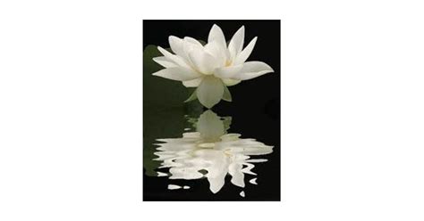 Gan Gin Obituary 1932 2013 Legacy Remembers