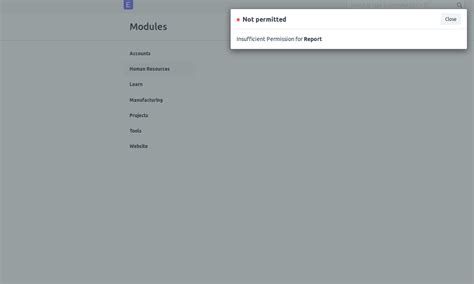 role based module access frappe forum