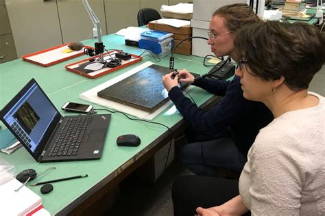 Services Mcclung Museum Of Natural History And Culture