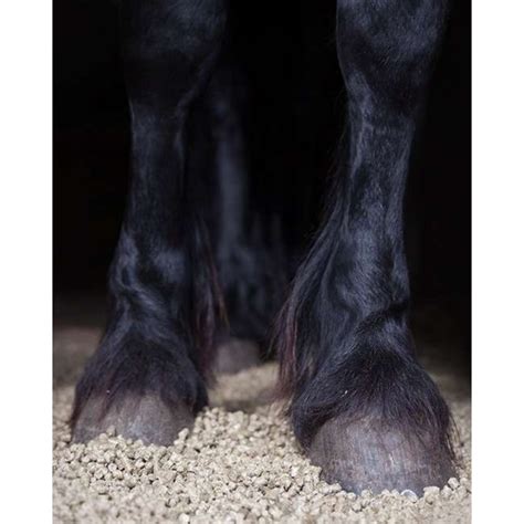 Stro Korrel Volle Pallet 50 Zakken A 20kg Smulders Diervoeders