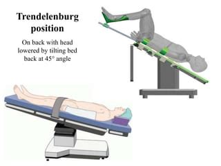 Medical Terminology Body Position Pptx