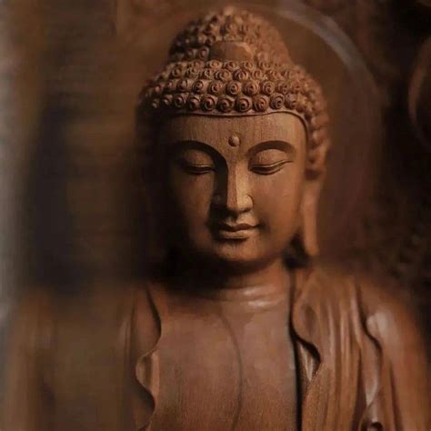 佛教知识｜佛陀头上的 自然卷”是头发吗？大人菩萨圣者