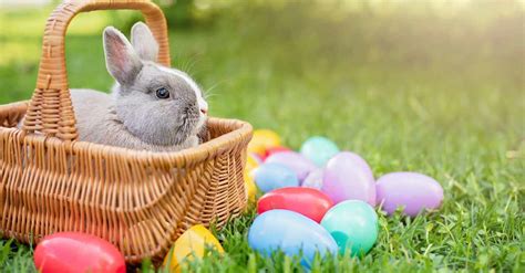 Urari De Paste Scurte Mesaje De Paste Emotionante Sms