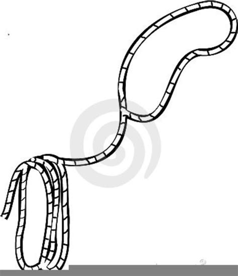 Lasso Clipart Black And White