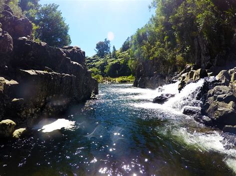 Dickies Flat On Behance