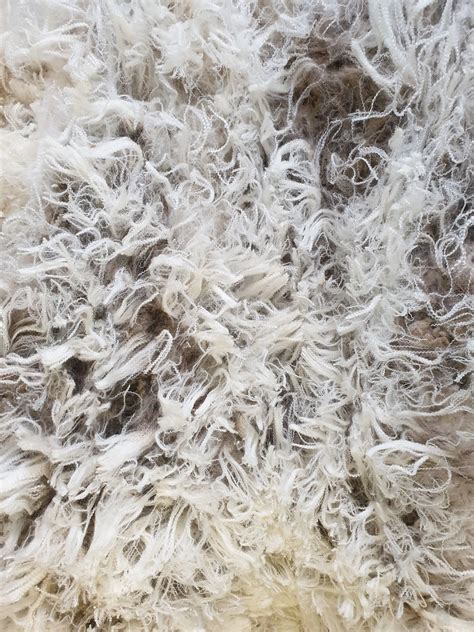 Wool Classer Kelly Home