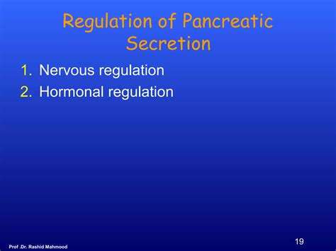 Stages And Regulation Of Pancreatic Secretion Ppt